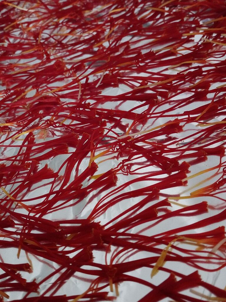 Pure Kashmiri Saffron - Suddh Kashmiri Kesar - 1 Gram