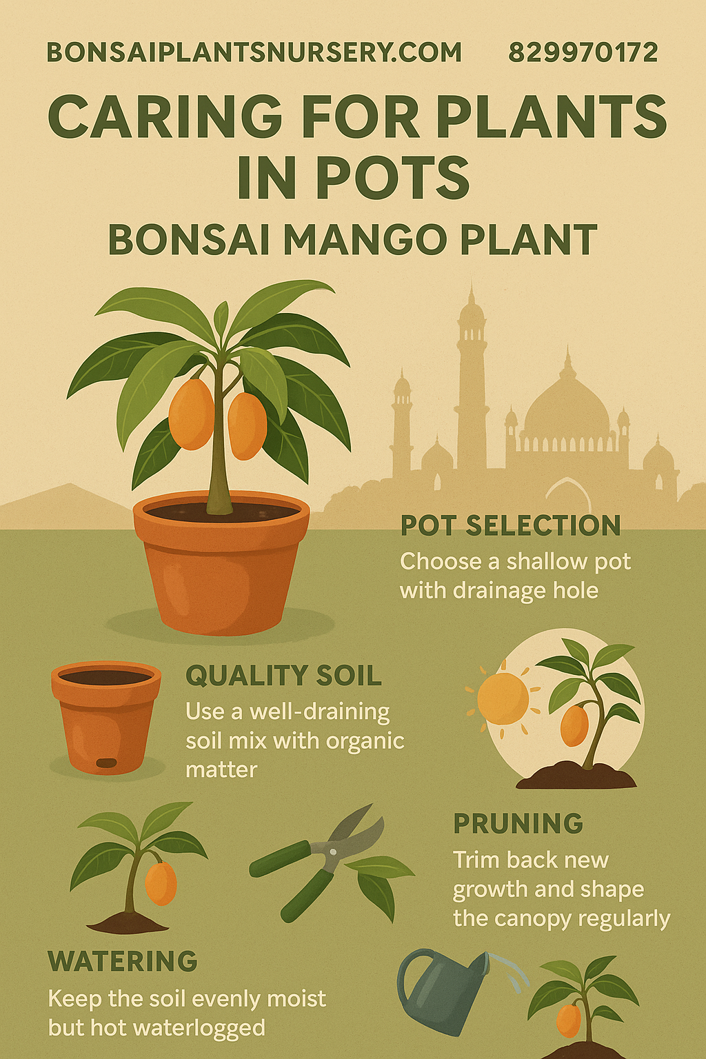 Infographics - Bonsai Plants Nursery