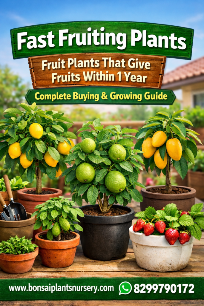 🍎 Fast Fruiting Plants Fruit Plants That Give Fruits Within 1 Year ...