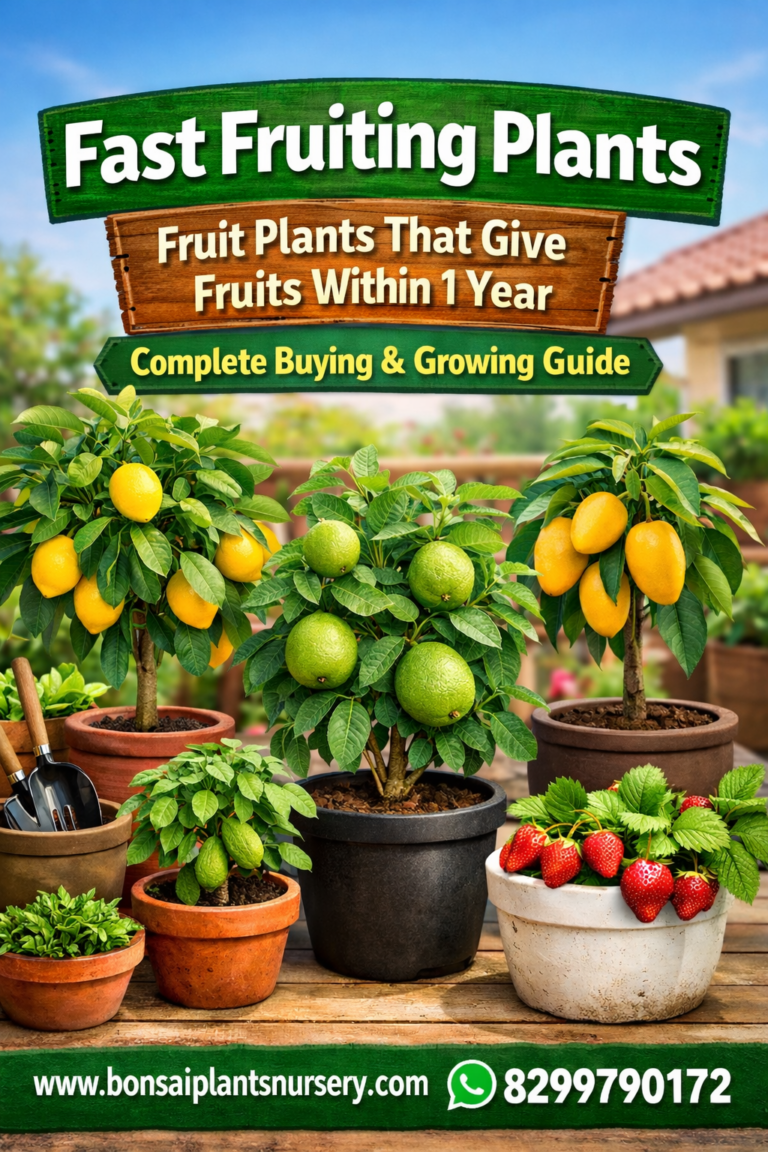 🍎 Fast Fruiting Plants Fruit Plants That Give Fruits Within 1 Year ...