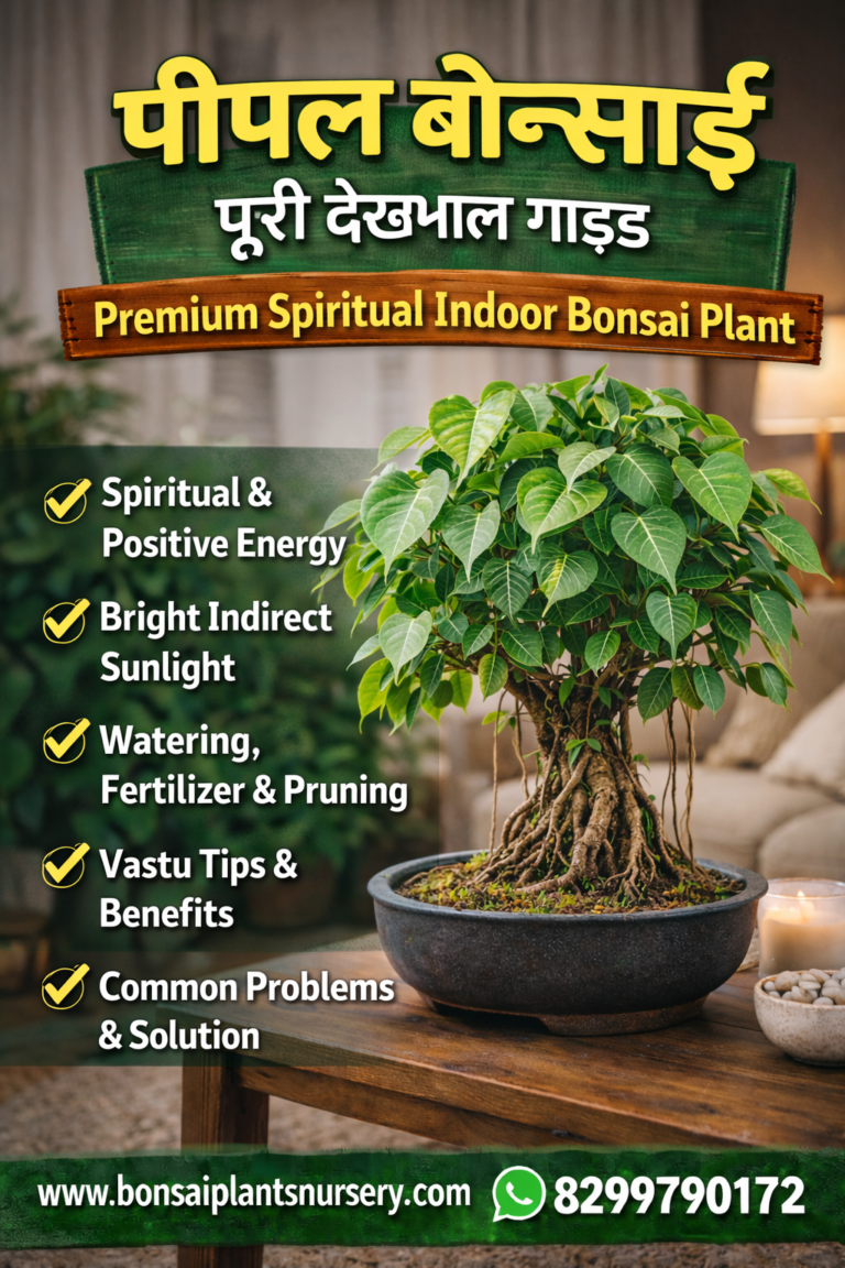 🌿 Peepal Bonsai Tree Complete Guide How to Make, Care, Benefits, Vastu ...