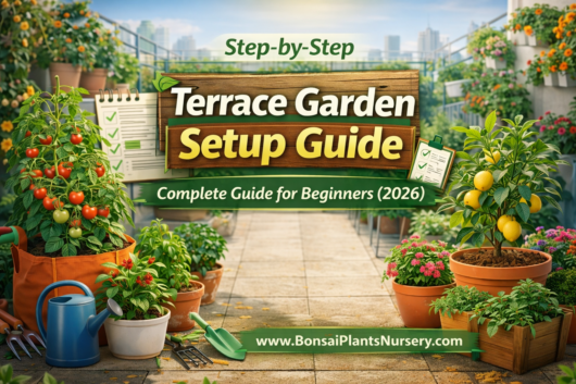 🌿 Terrace Garden Setup Guide – Complete Step-by-Step Guide for ...